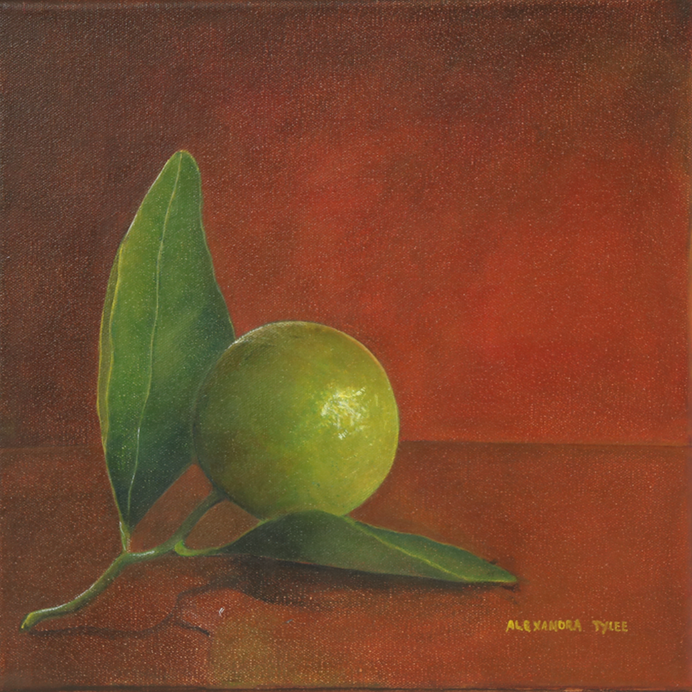 Alexandra Tylee Artist Exhibiting at Turua Gallery