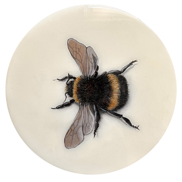 Meant to Bee | Bec Robertson - Turua Gallery