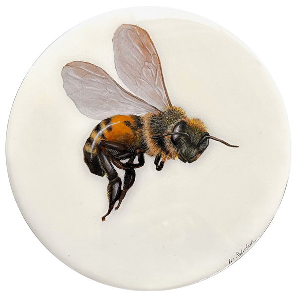 To Bee | Bec Robertson - Turua Gallery